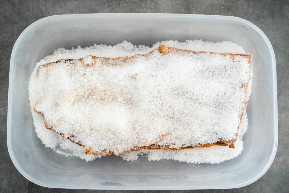 10 Best Substitutes For Curing Salt That You Would Love To Try - The ...