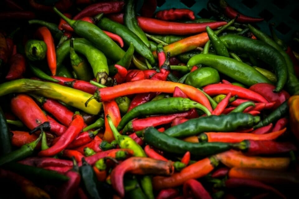 10 Great Substitutes Of Green Chili To Use In Daily Life - The Rusty Spoon