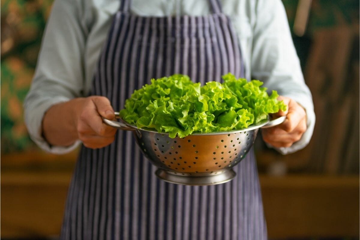 Can You Freeze Lettuce (How Long Does It Last & How to Do It?) - The ...