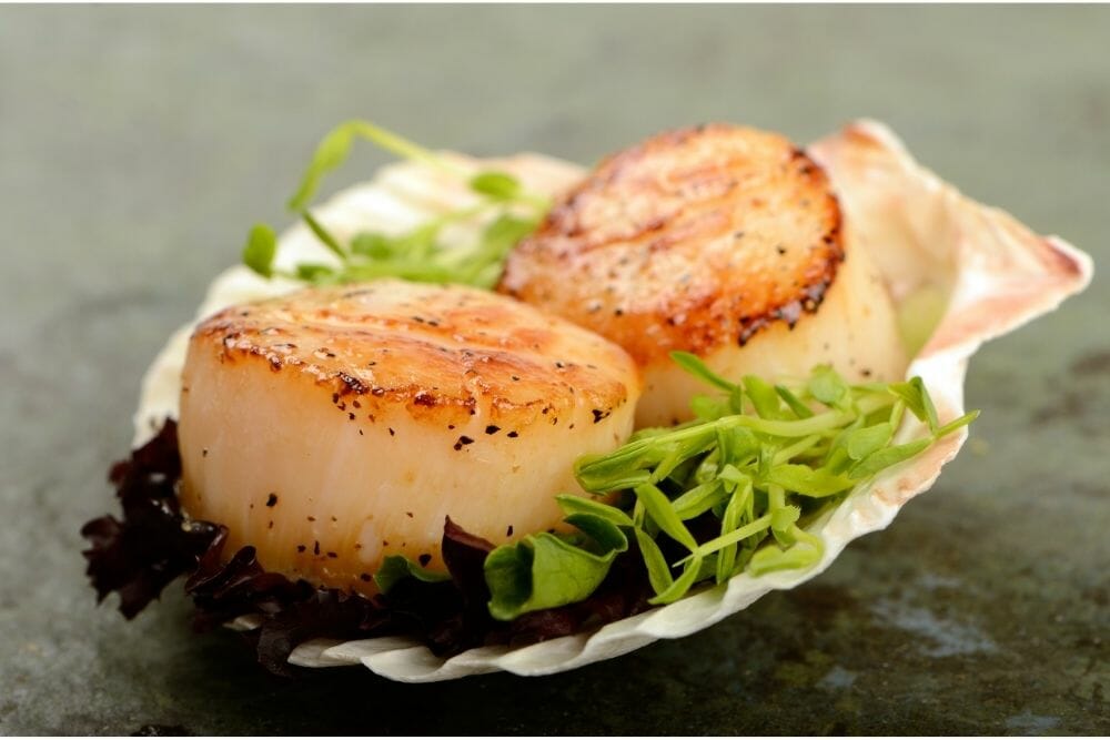 How Long Do Raw (And Cooked) Scallops Last In The Fridge Or Freezer ...