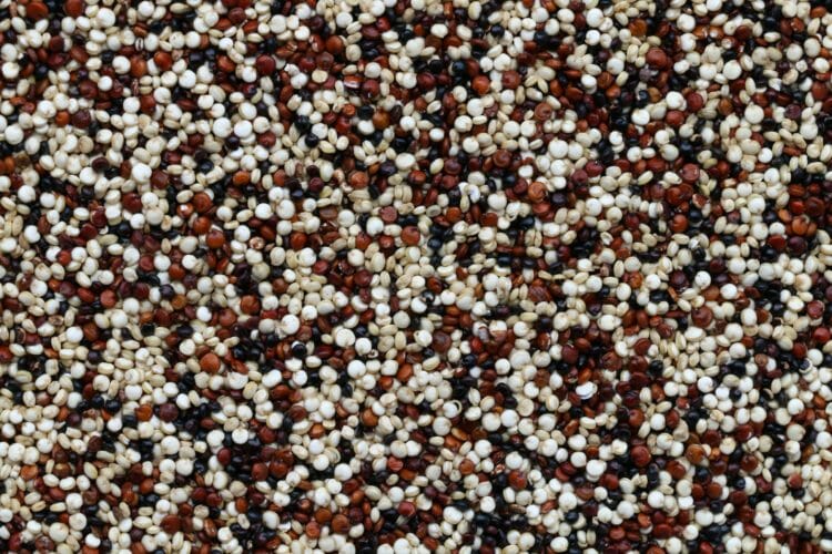 What Groats Are and Why They Are Better than Refined Grains - The Rusty ...