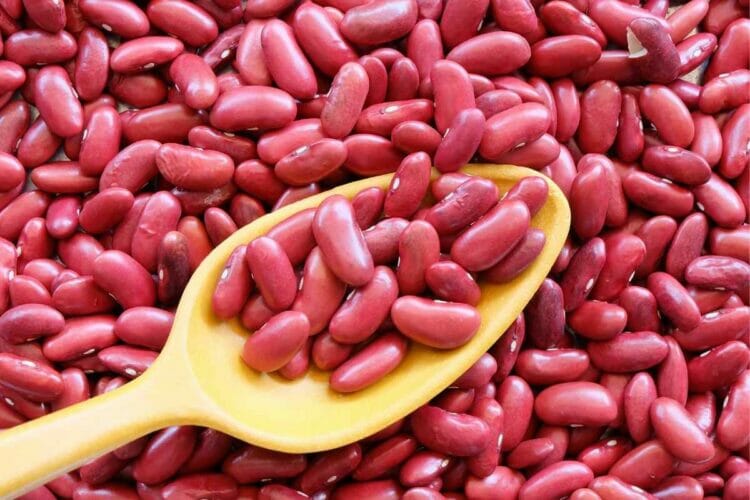 How To Know Notable Differences In Red Beans Vs Kidney Beans - The ...