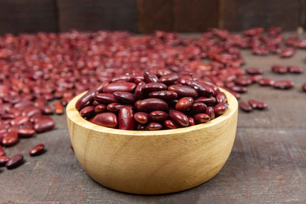 How To Know Notable Differences In Red Beans Vs Kidney Beans - The ...