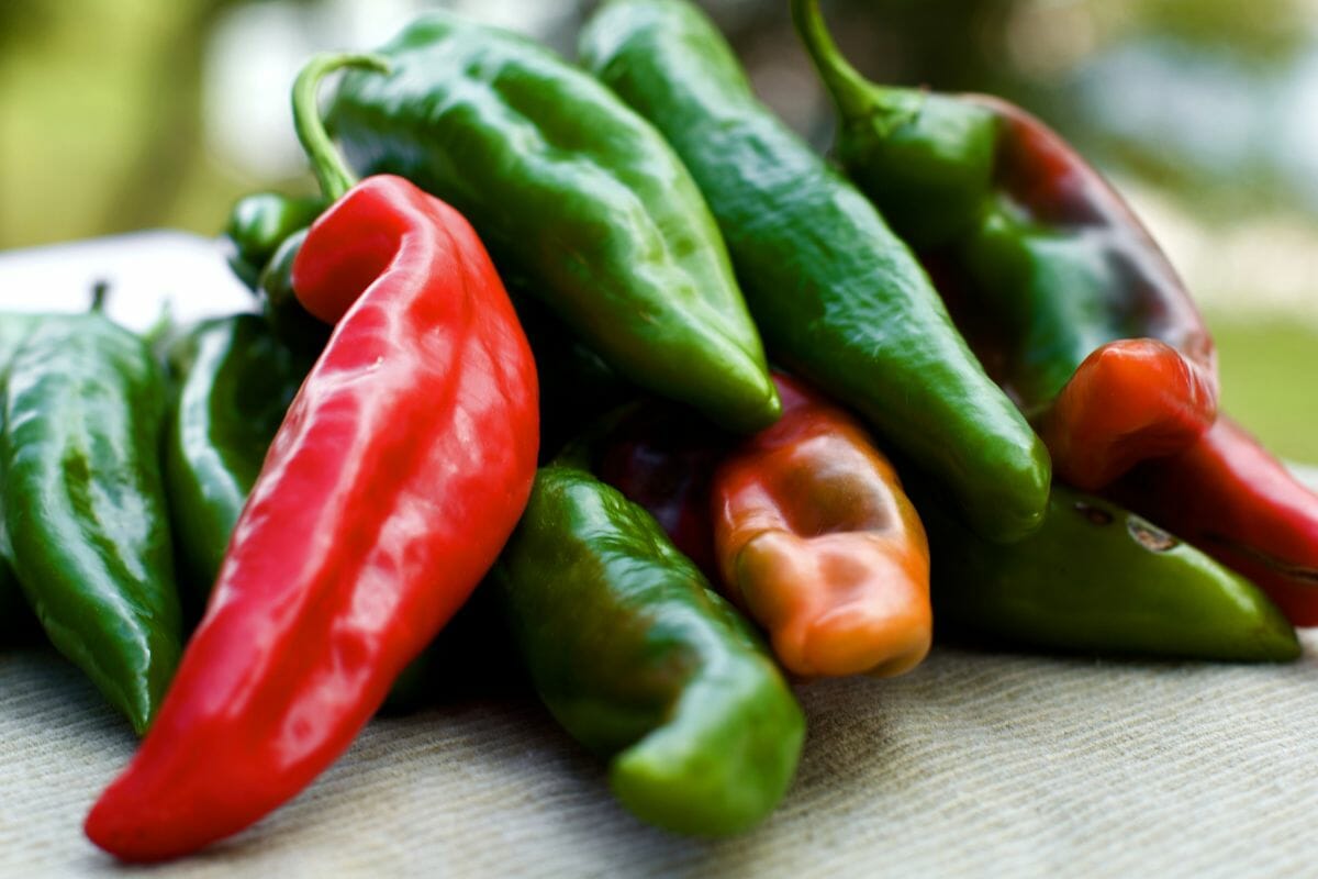 12 Best Bell Pepper Substitutes That Are Easy To Find And Use - The ...