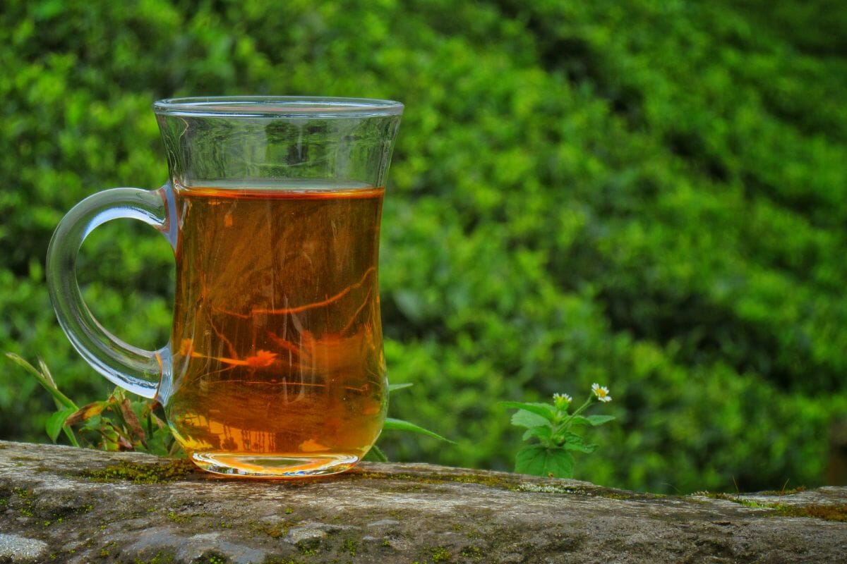 10 Most Traditional Drinks In India (No. 4 Is My Favorite) - The Rusty ...