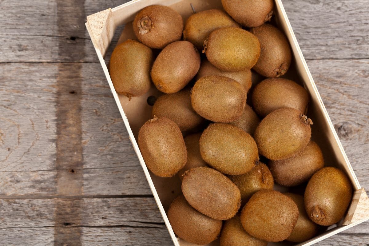 How To Store Kiwi (The Right Way) - The Rusty Spoon