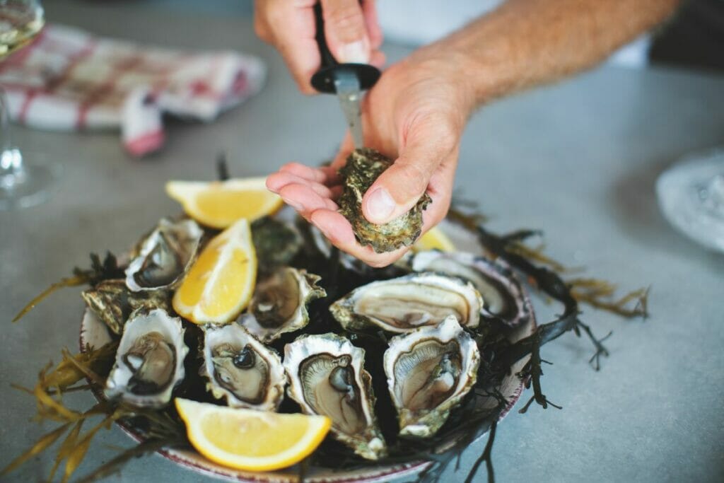 How Long Do Oysters Last? Fresh And Alive! - The Rusty Spoon