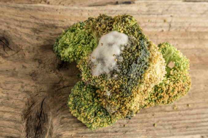 How To Tell If Broccoli Is Bad 4 Foolproof Way? - The Rusty Spoon