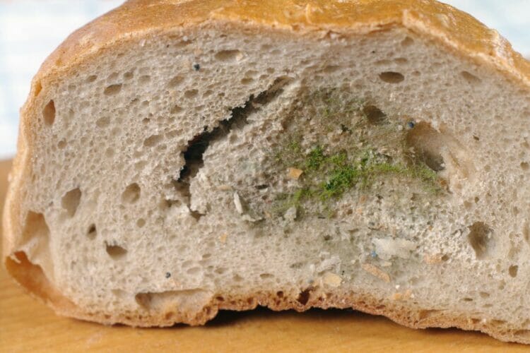Easy Ways To Know How To Stop Bread From Going Moldy - The Rusty Spoon