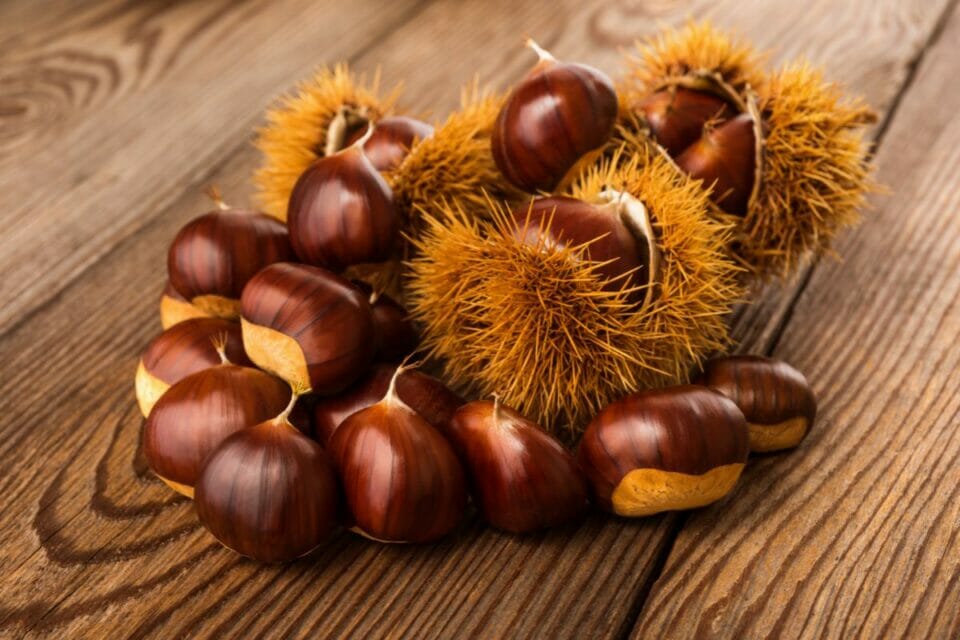 What Do Chestnuts Taste Like? (What Is The Texture?) - The Rusty Spoon