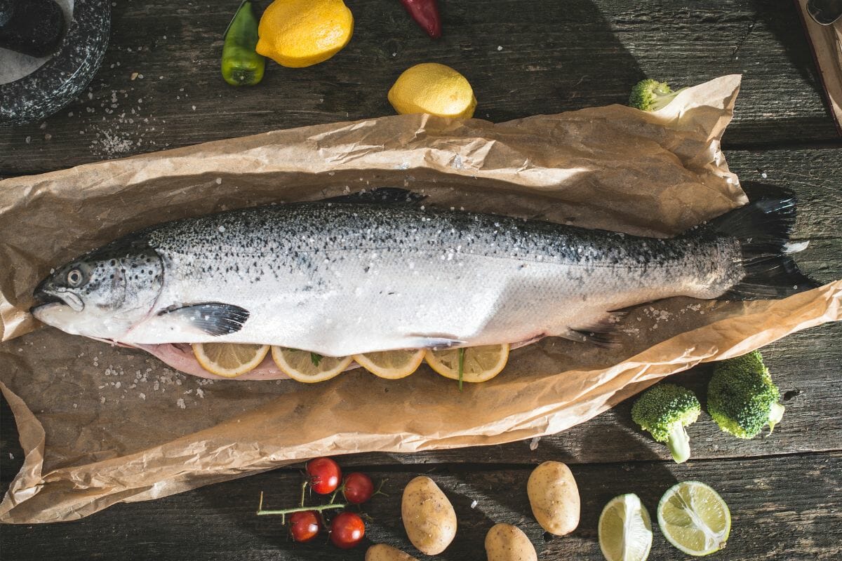 Why Is Salmon Pink? Here’s How It Gets Its Color - The Rusty Spoon