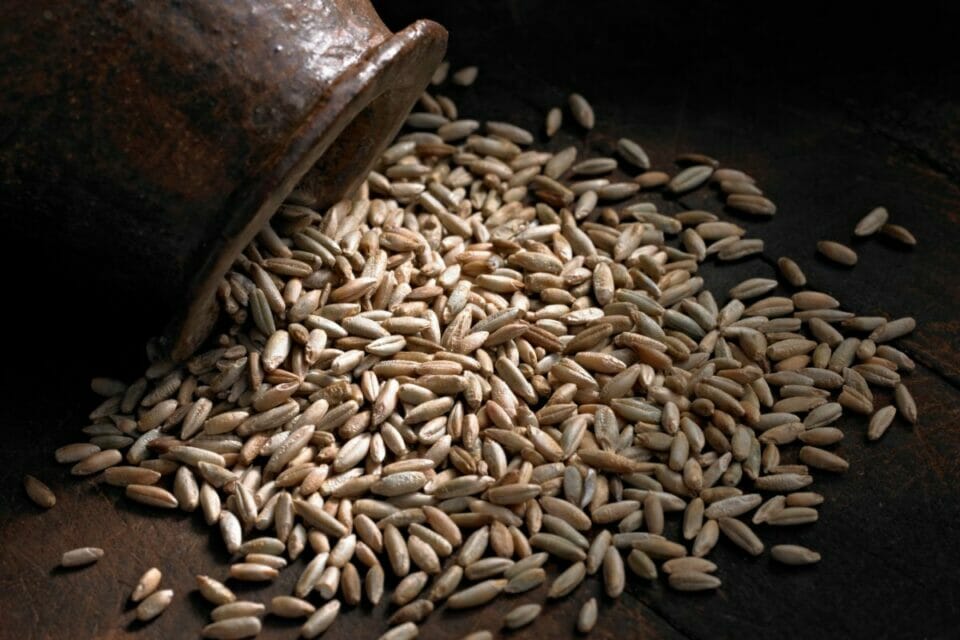16 Best Farro Substitutes For Your Recipes That You Can Find Easily ...
