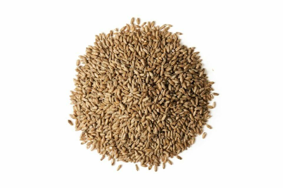 16 Best Farro Substitutes For Your Recipes That You Can Find Easily ...