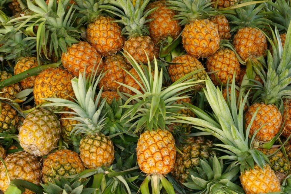 Do Pineapples Have Seeds? (And Can You Eat Them) - The Rusty Spoon