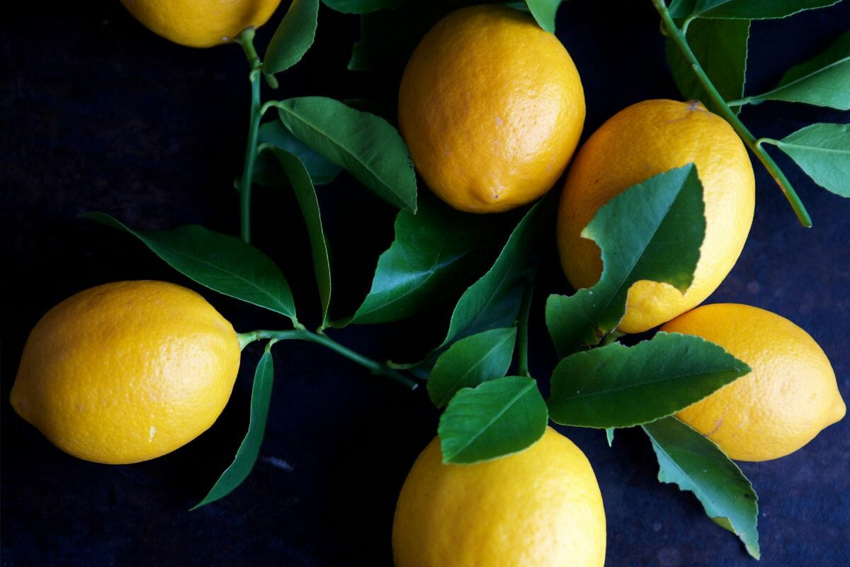 Is Lemon A Fruit Or A Vegetable? Here’s What We Found Out - The Rusty Spoon