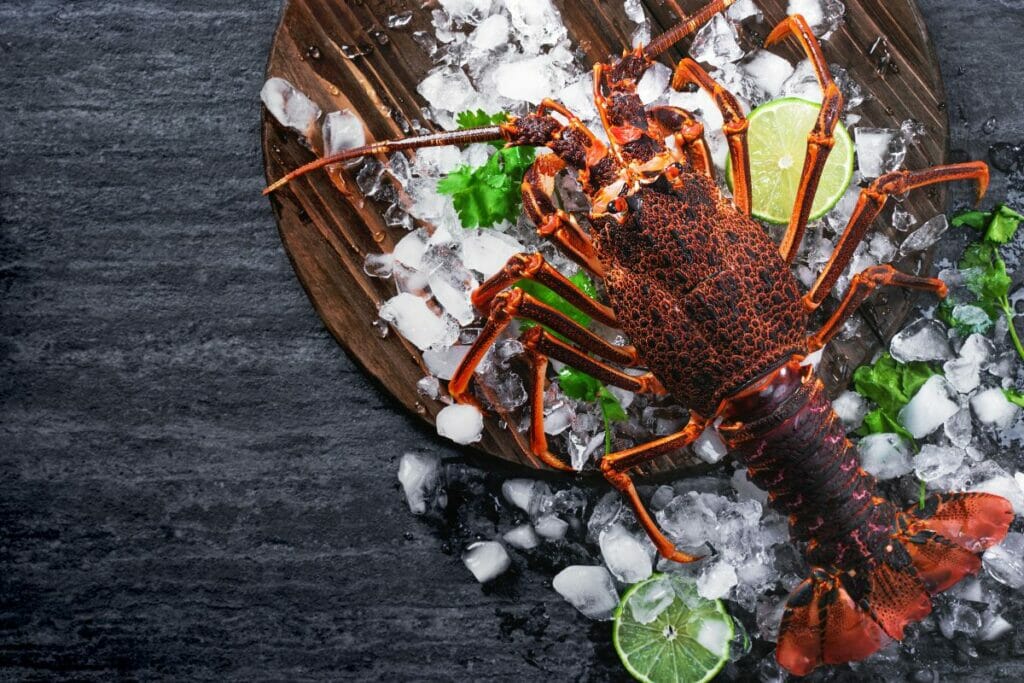 Types Of Lobster (And How To Cook) - The Rusty Spoon