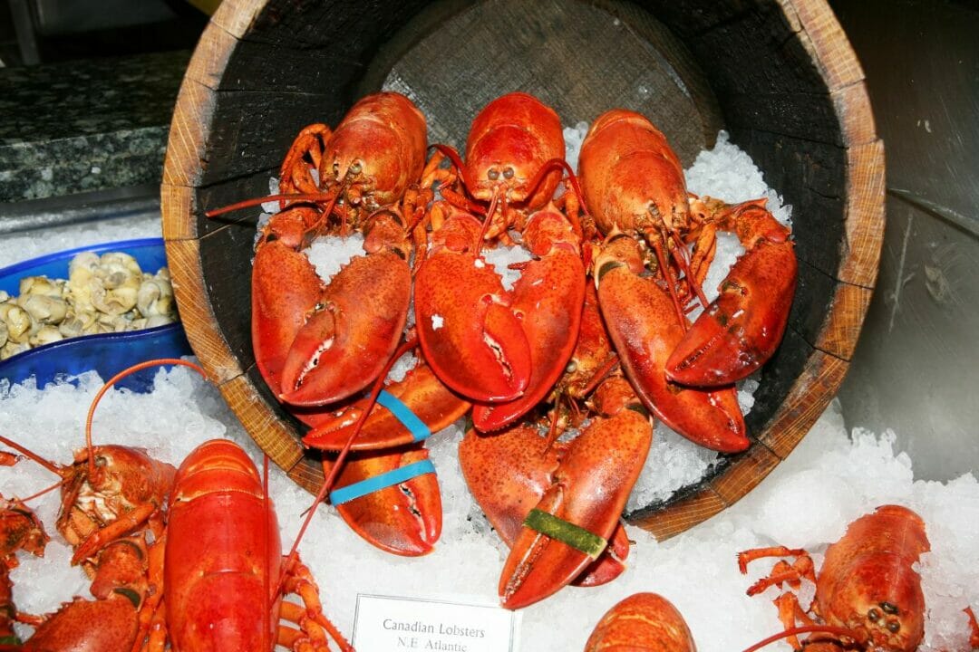 Types Of Lobster (And How To Cook) - The Rusty Spoon