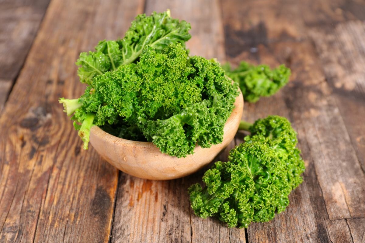 What Is Kale? The Taste, Color, And Why You Should Try It Today - The ...