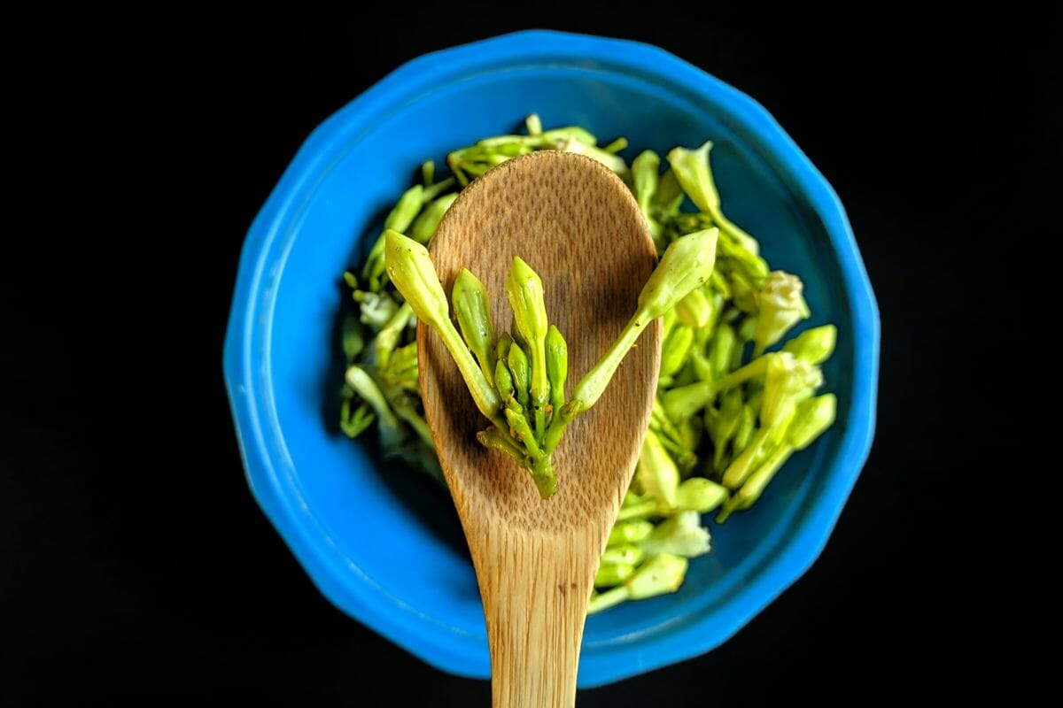 What Does Loroco Taste Like? (And The Benefits) - The Rusty Spoon