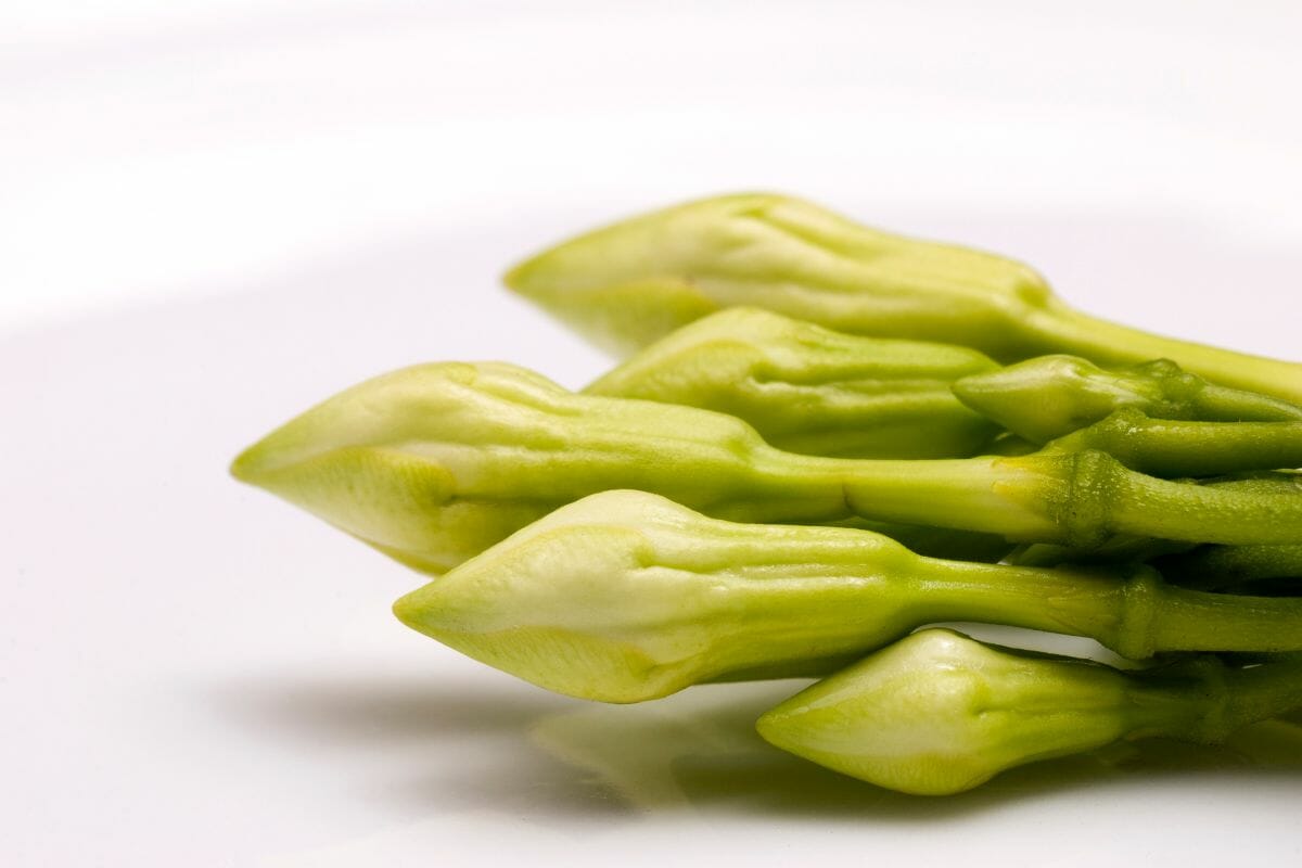 What Does Loroco Taste Like? (And The Benefits) - The Rusty Spoon