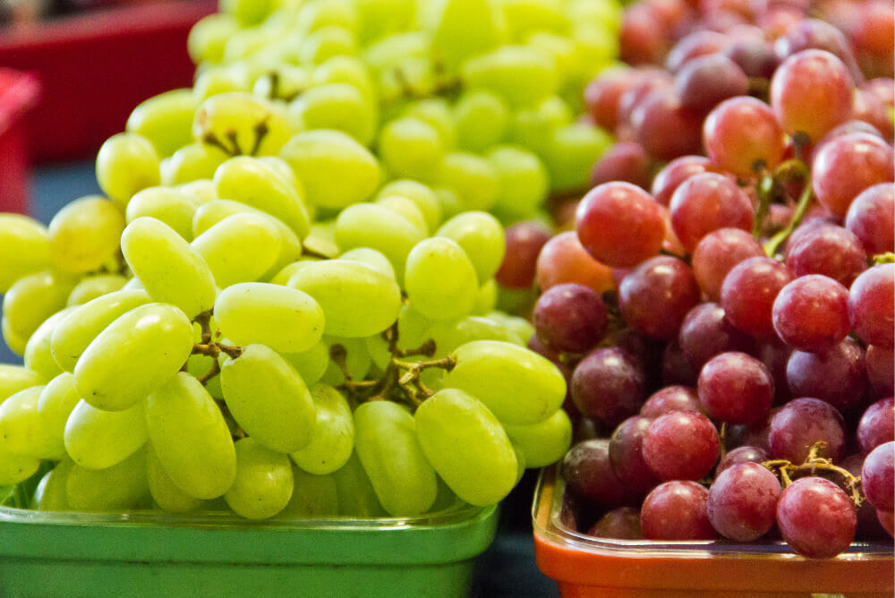 20 Perfect Tomato Substitutes To Make A Tangy Addition To Your Recipes ...