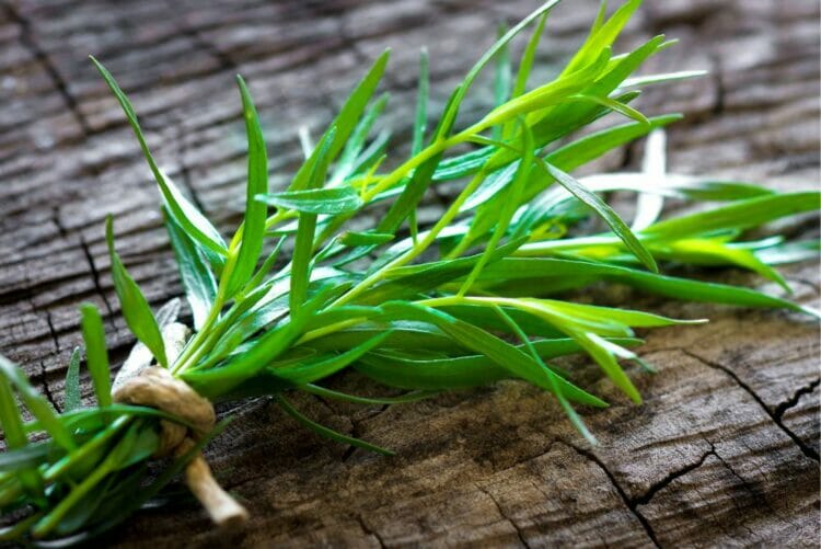 14 Best Chives Substitutes And How They Can Be Substantially ...