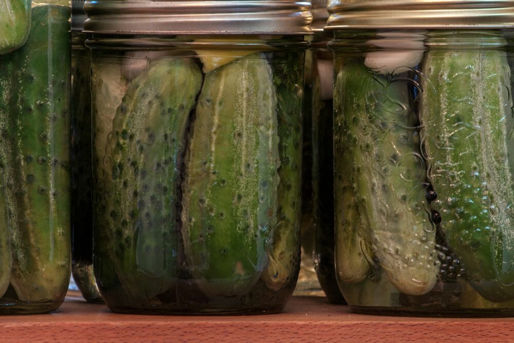 14 Best Chives Substitutes And How They Can Be Substantially ...
