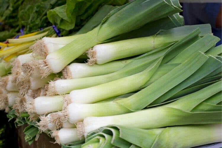 14 Best Chives Substitutes And How They Can Be Substantially ...