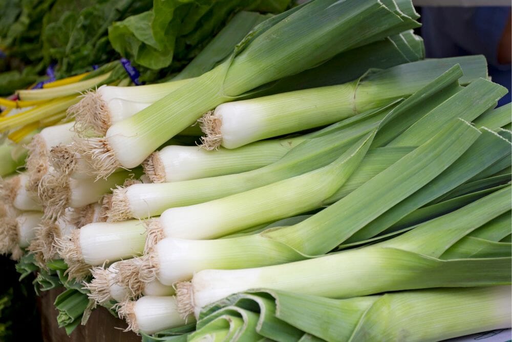 14 Best Chives Substitutes And How They Can Be Substantially ...