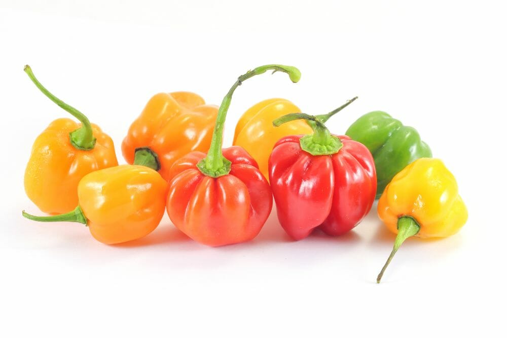 15 Best Pepperoncini Substitutes To Try - The Rusty Spoon
