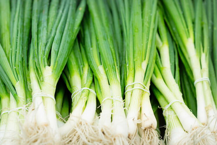 12 Scrumptious Scallions Substitutes - The Rusty Spoon