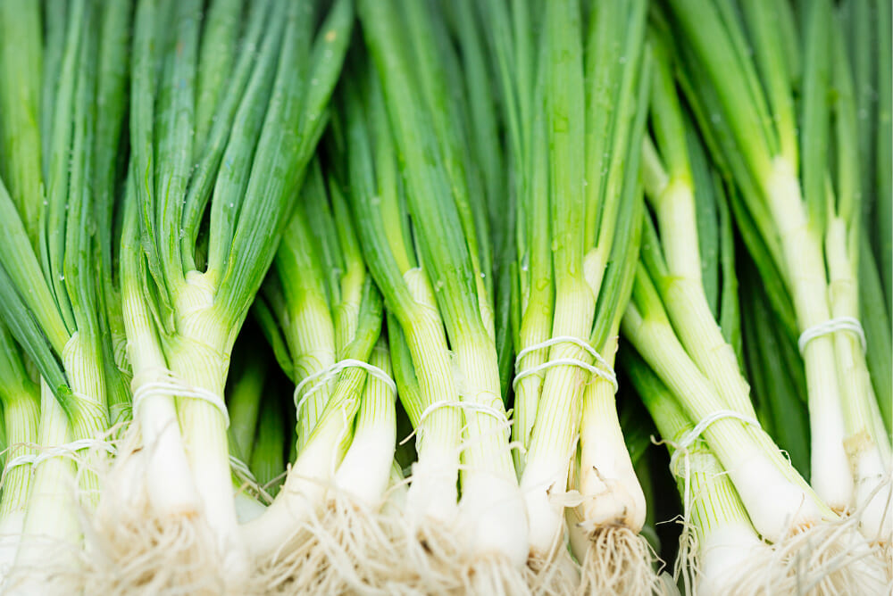 12 Scrumptious Scallions Substitutes - The Rusty Spoon