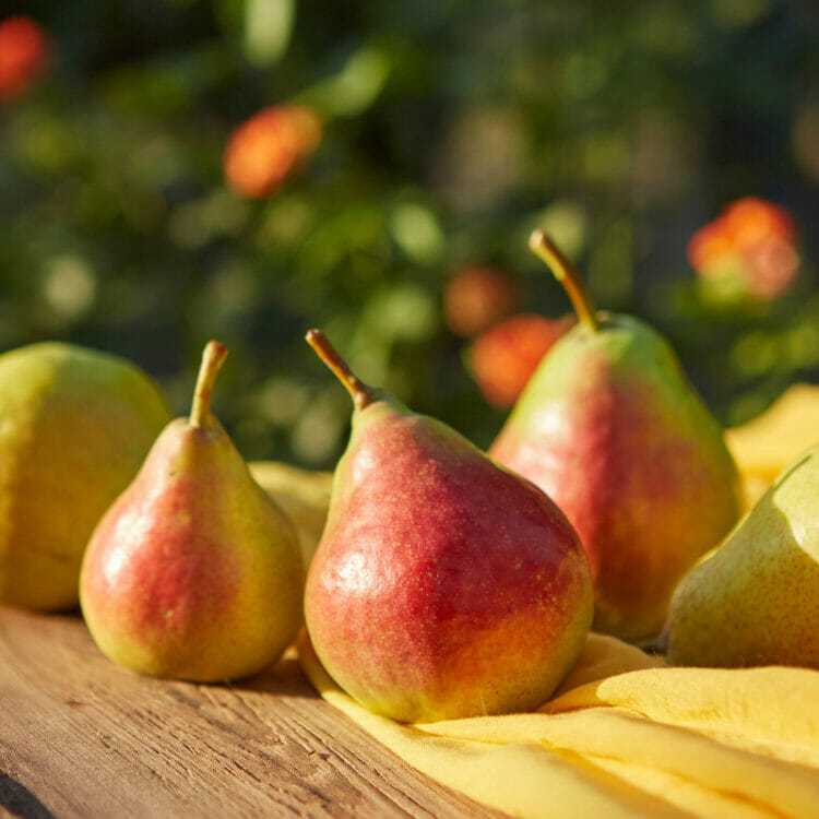 Are Pears Acidic? And Bad For Acid Reflux? - The Rusty Spoon