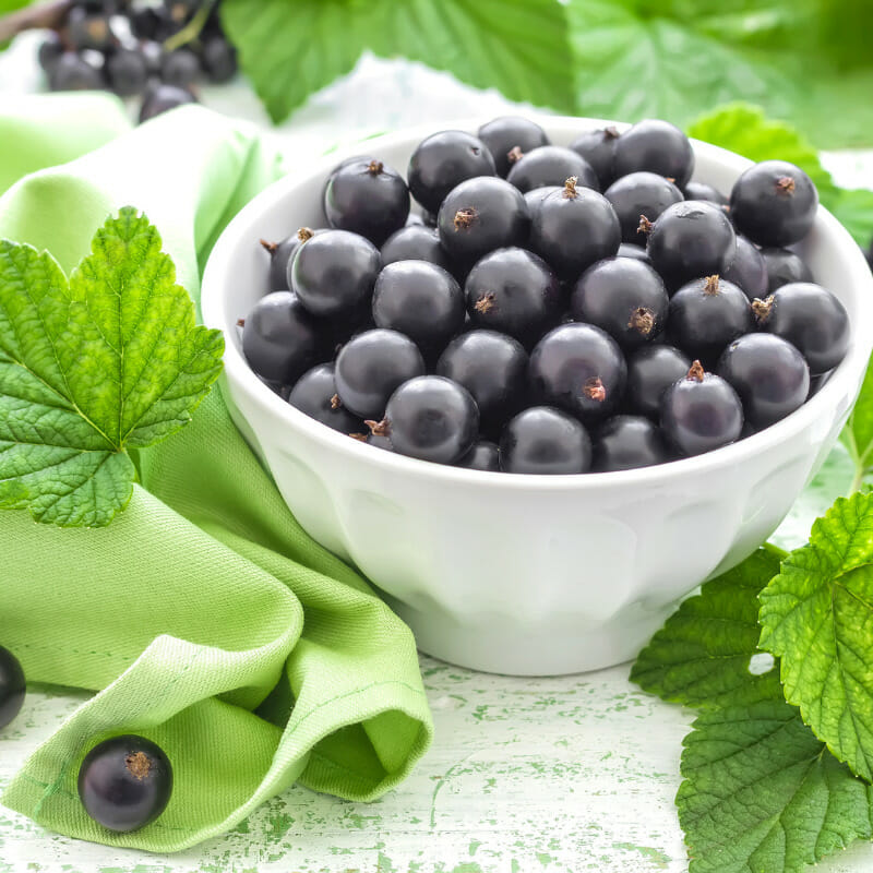 What Does Black Currant Taste Like? - The Rusty Spoon