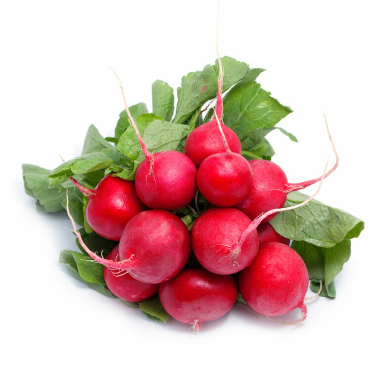What Do Radishes Taste Like? - The Rusty Spoon