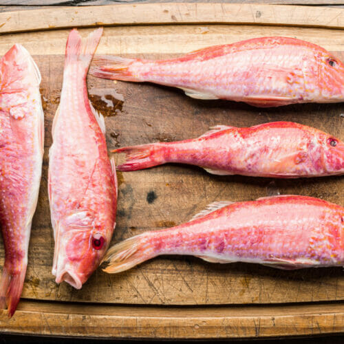 Eating Mullet: What To Expect From Mullet Taste And More - The Rusty Spoon