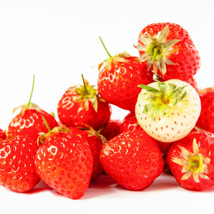 What Do Pineberries Taste Like? - The Rusty Spoon