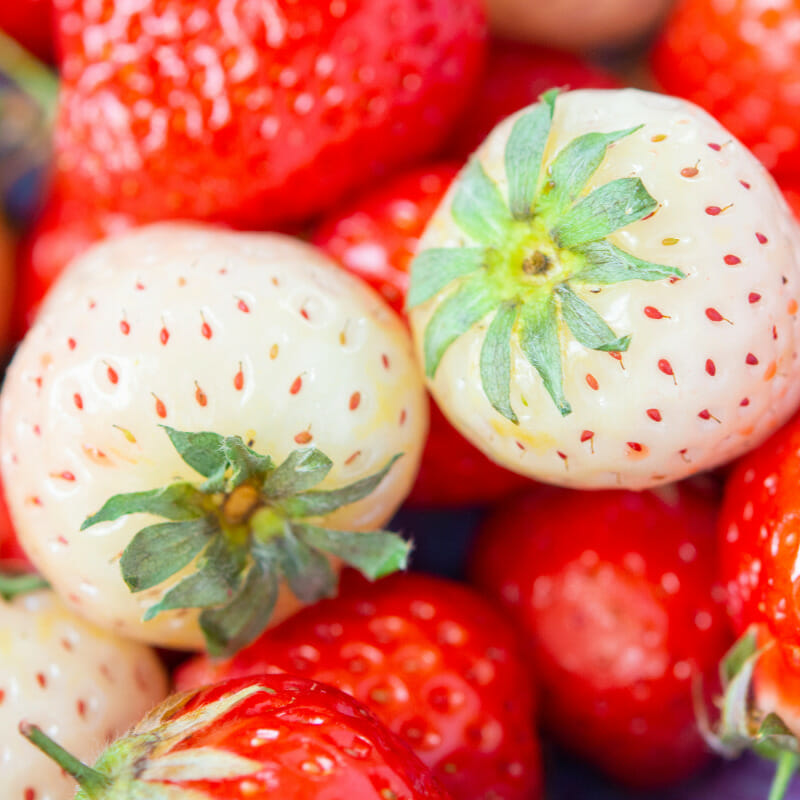 What Do Pineberries Taste Like? - The Rusty Spoon