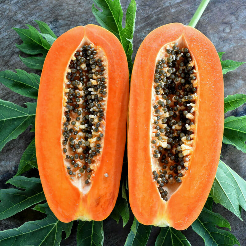 Get Healthy, Refreshing And Tasty Papaya Recipes - The Rusty Spoon