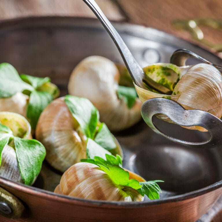 What Do Snails Taste Like? Should You Try Them? - The Rusty Spoon