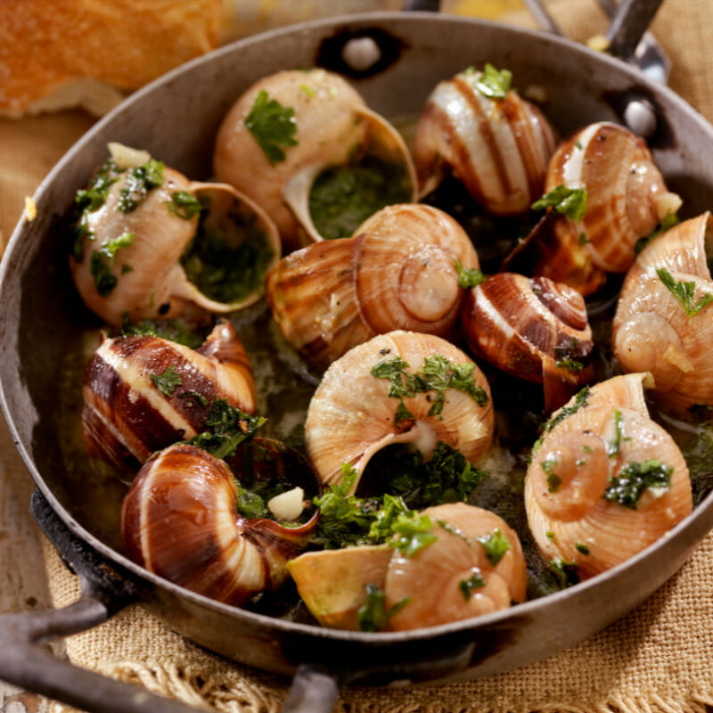 What Do Snails Taste Like? Should You Try Them? - The Rusty Spoon