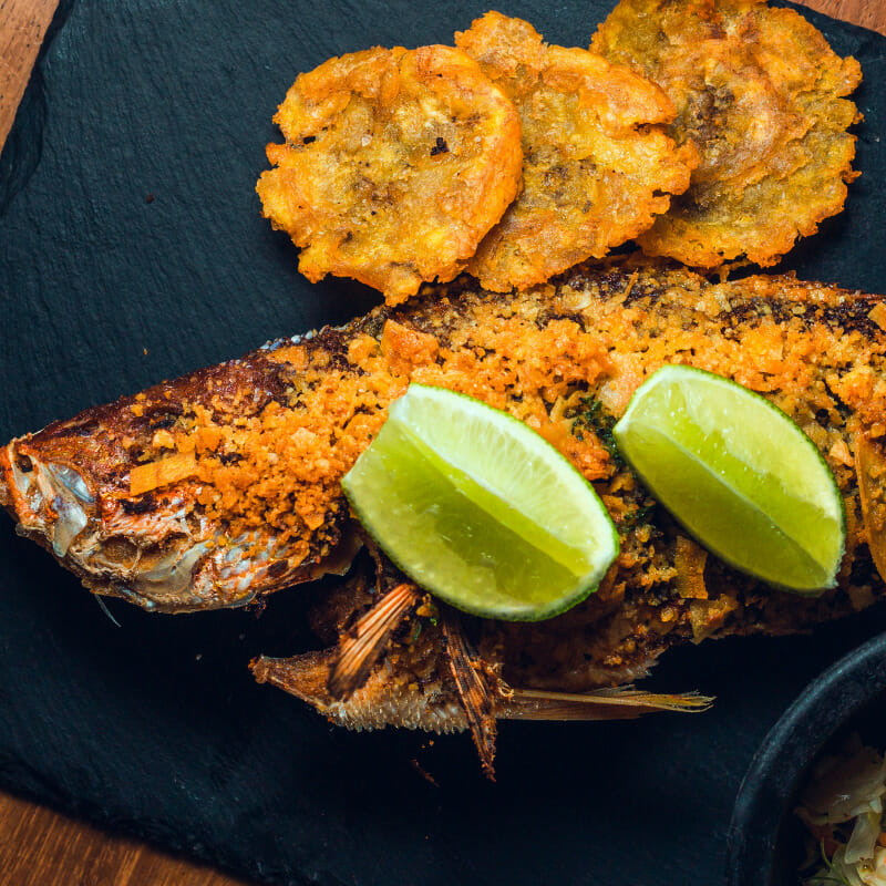 Interested In Stingray Fish Taste? Here’s What You Have To Know - The ...