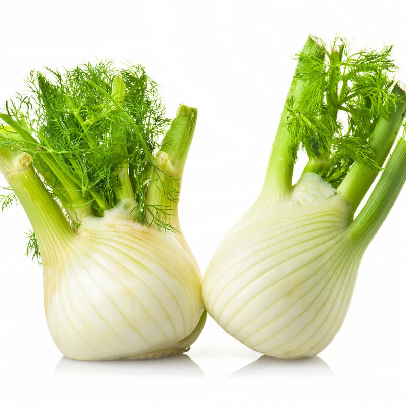 What Does Fennel Taste Like? - The Rusty Spoon