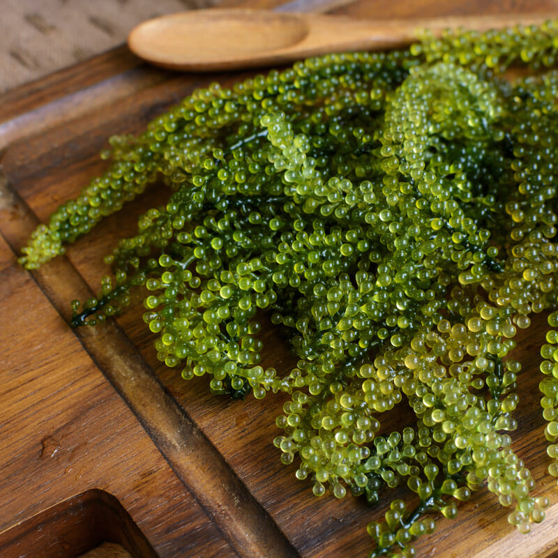 How Do Sea Grapes Taste? - The Rusty Spoon