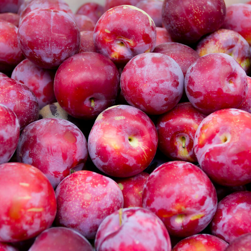 What Does Plum Taste Like? - The Rusty Spoon