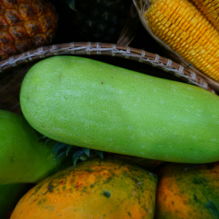 What Is Winter Melon? What Does Winter Melon Taste Like? - The Rusty Spoon