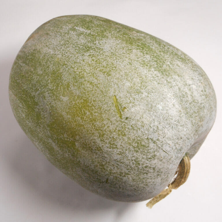 What Is Winter Melon? What Does Winter Melon Taste Like? - The Rusty Spoon