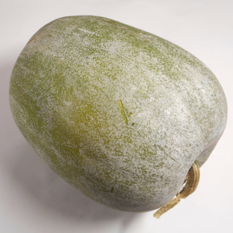 What Is Winter Melon? What Does Winter Melon Taste Like? - The Rusty Spoon