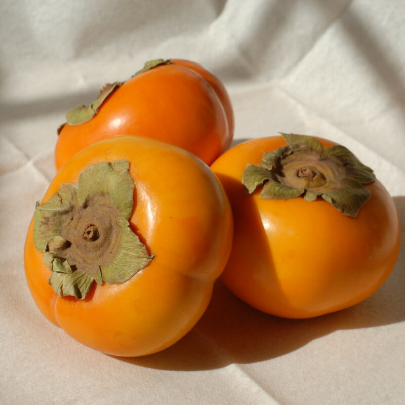 What Do Persimmons Taste Like? - The Rusty Spoon