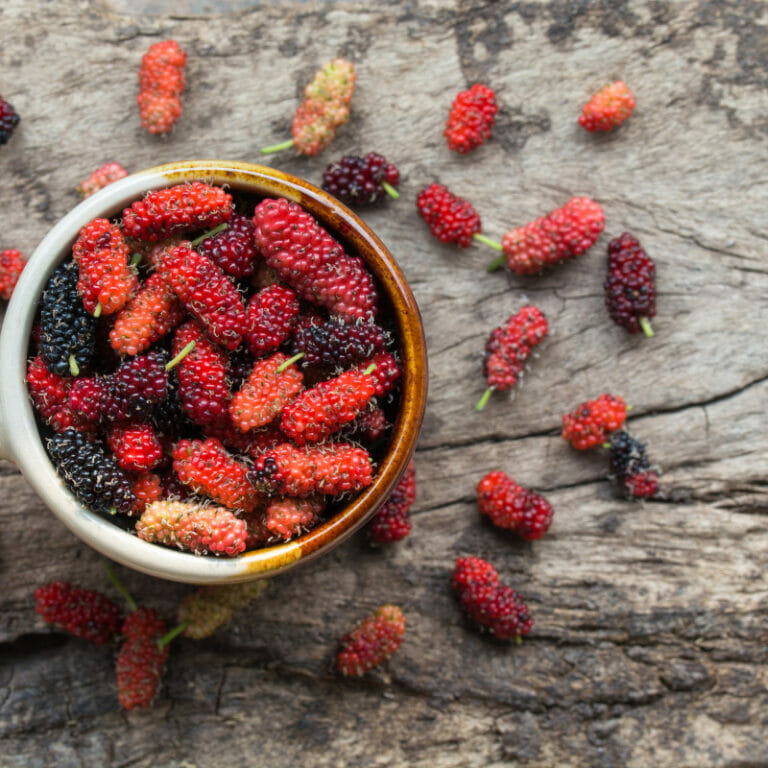 What Does Mulberry Taste Like? - The Rusty Spoon